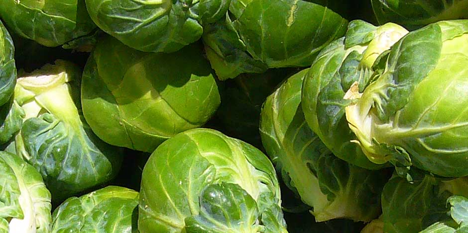 Fruit and Veg Supplier Norfolk | Fresh Produce Supplier Norfolk